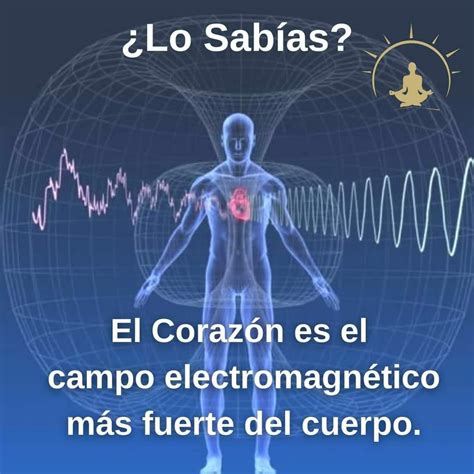 Reiki Magnetic Field Chakras Feng Shui Karma Evolution Attitude