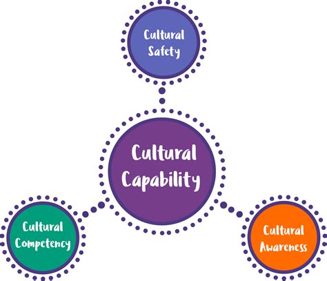 Aboriginal And Or Torres Strait Islander Cultural Capability VPSC