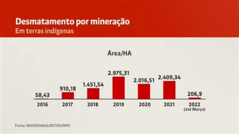 Brasil perdeu 69 milhões de hectares de vegetação nativa nos últimos 30