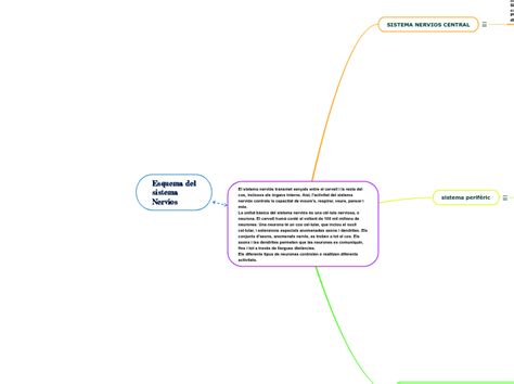 Esquema Del Sistema Nervios Mindmap Voorbeeld