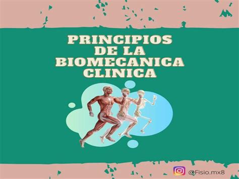 Esquivo Insalubre Complemento Principios De La Biomecanica Atlas Flauta