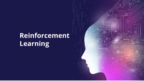 reinforcement learning deterministic policy vs stochastic policy by mohannadrateb medium