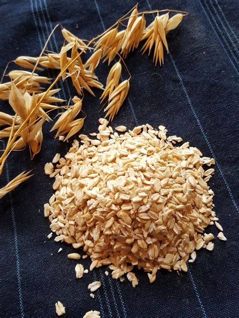 Kg Naked Oats Adagio Acres
