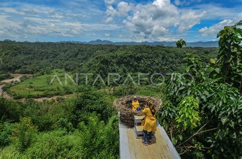 PEMANFAATAN DANA DESA ANTARA Foto