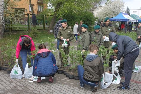 Drzewko za makulaturę edycja jubileuszowa Sztafeta pl