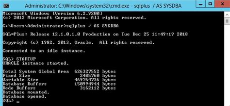 how to connect with oracle database using sqlplus utility