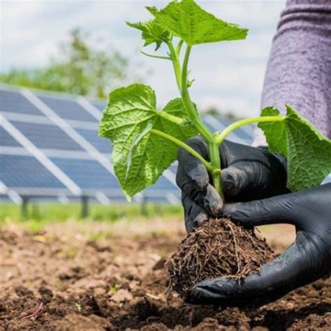 Comunidade isolada na Bahia recebe instalação de usina solar baterias