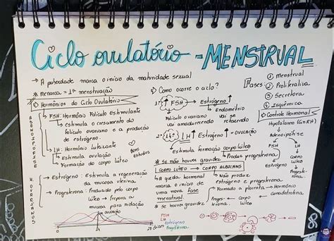 Mapas Mentais Sobre CICLO MENSTRUAL Study Maps