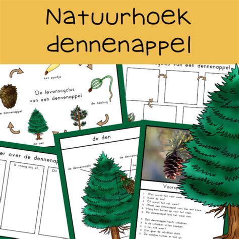 Natuurhoek Dennenappel Klas Van Juf Linda
