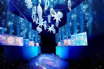 NAKED SNOW AQUARIUMマクセル アクアパーク品川 SagasWhat TOKYO 東京を楽しむことが簡単に見つかる