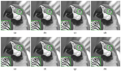 sensors free full text image compressive sensing via hybrid nonlocal sparsity regularization