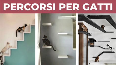 Partenza Donare Gonna Pareti Attrezzate Per Gatti Fai Da Te Dispersione