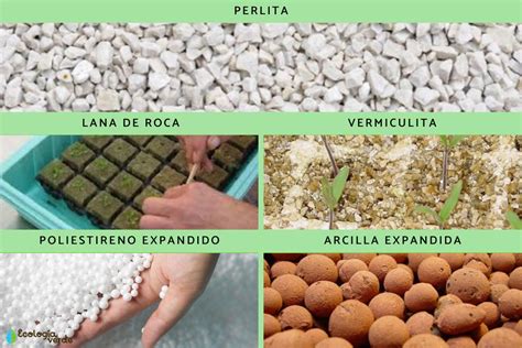 12 tipos de sustratos Nombres fotos clasificación y características