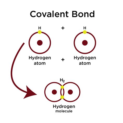 Polar Covalent Bond Definition And Examples In Chemistry D B