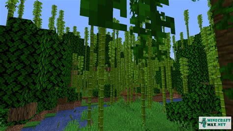 Bamboo Jungle How To Craft Bamboo Jungle In Minecraft Minecraft Wiki