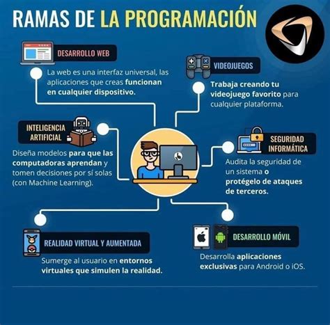 Ramas de la programación
