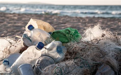 L Impatto Della Plastica Sul Mar Mediterraneo Hub Campus