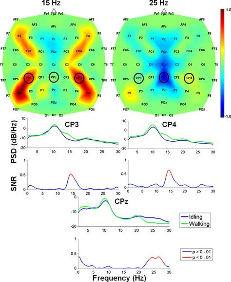 eeg feature extraction maps top feature extraction maps obtained by a download scientific
