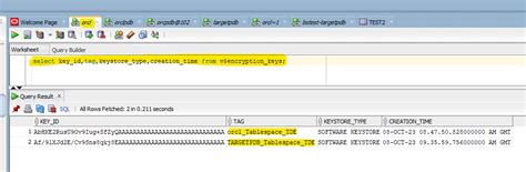 setup tde encryption in oracle 19c database dba notes
