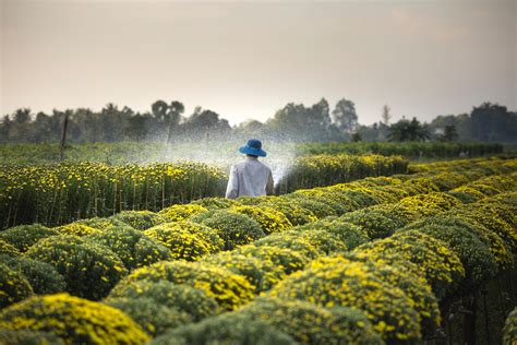 Saiba Como Funciona A Agricultura Familiar No Brasil Agrorural Net