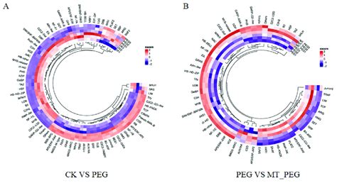 Heatmap Of Transcription Factor Families CK Vs PEG And PEG Vs