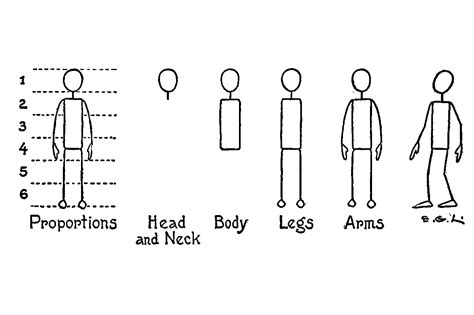 Dibujar Las Proporciones Del Cuerpo Humano Facil Juegos De Enigmas