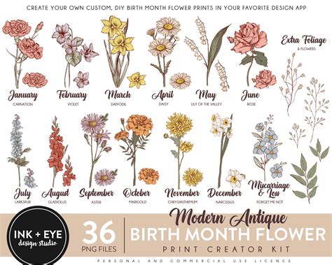 Birth Month Flowers Clipart Antique Floral Png Bundle Diy Etsy