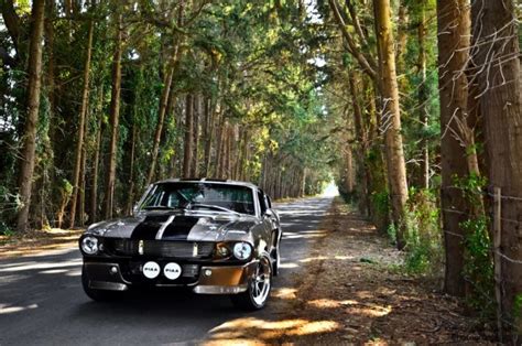 Classic Cobra Eleanor Ford Gt Hot Muscle Mustang Rod