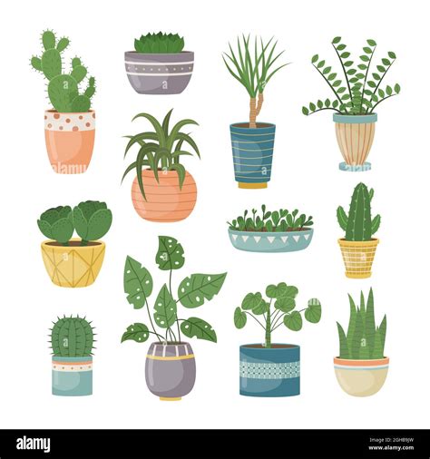 Details Imagen Macetas Con Plantas De Interior Abzlocal Mx