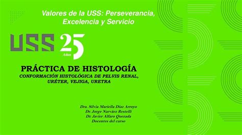 10 PRACTICA PELVIS RENAL VEJIGA Y URETRA PRACTICA DIANA VERA UDocz