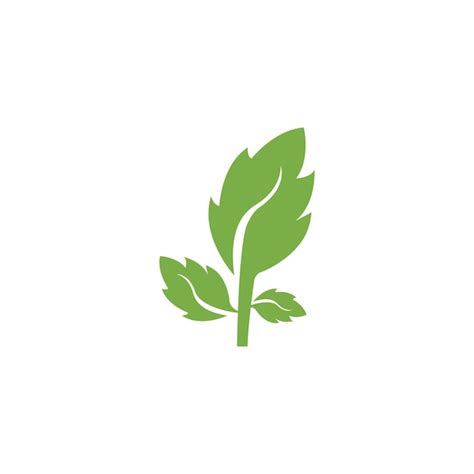 Premium Vector Green Leaf Ecology Nature Element