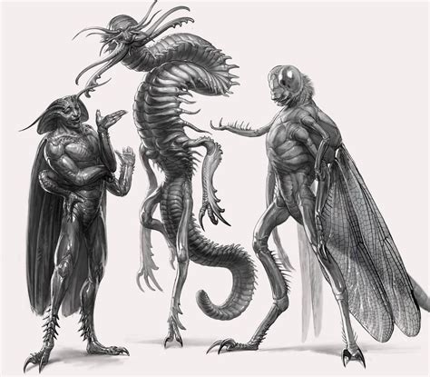 The Big Imageboard Tbib 4 Arms Ambiguous Gender Annelid Antennae Anatomy Arthropod