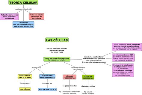 Clasificación de la Célula BIOLOGÍA