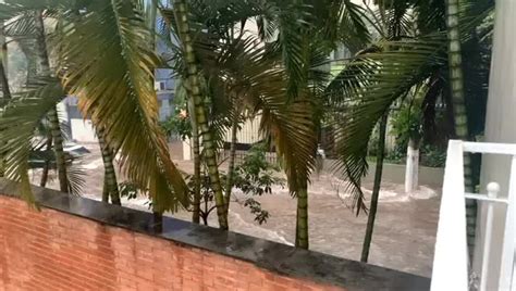 Forte Chuva Vendaval Deixa Uma Mulher Morta Provoca Alagamentos
