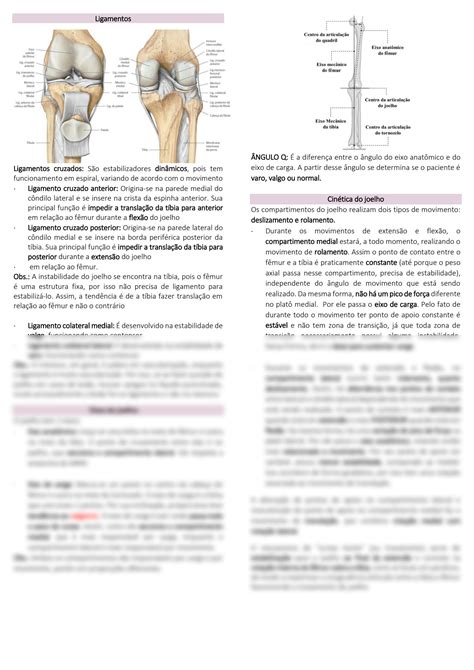 Solution Biomec Nica Do Joelho E Tornozelo Studypool