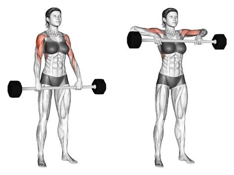 Barbell Upright Row Muscles Worked How To Do And Form