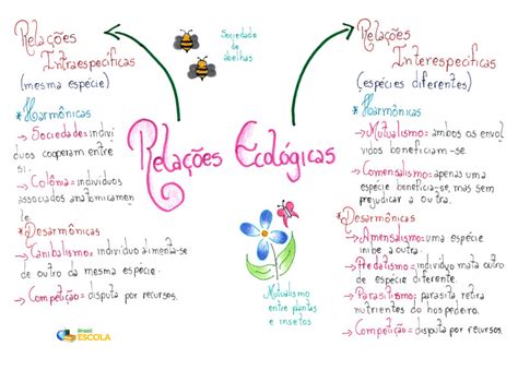 O que são relações ecológicas Brasil Escola