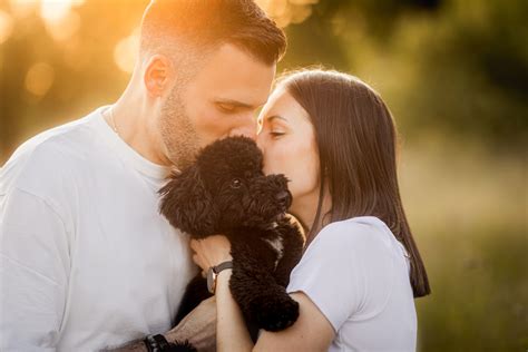 Schwarze Hunde Fotografieren Meine Top Tipps F R Bessere Fotos