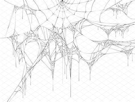 Spider Web Drawing Realistic