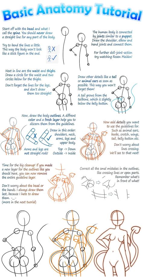 Basic Manga Anatomy Tutorial by Tiiara on deviantART Анатомия уроки