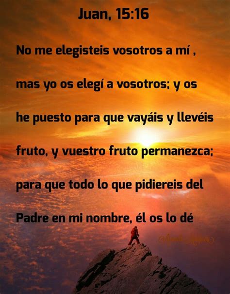 Juan 15 16 No me elegisteis vosotros a mí mas yo os elegí a