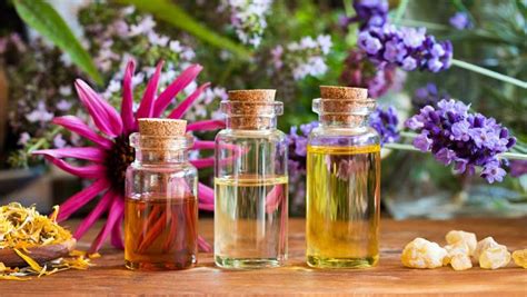 Aceites Esenciales Fieles Aliados Para Curas De Belleza