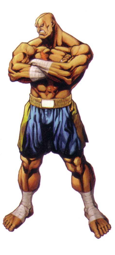 Sagat Street Fighter Image By Capcom Zerochan Anime