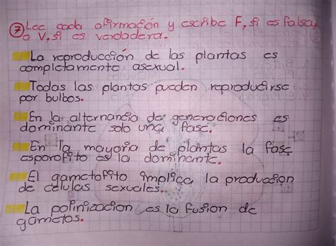 lee cada afirmación y escribe F si es falso o V si es verdadera