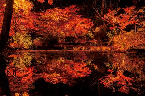 Discover Japan絶景プロジェクト11月テーマ紅葉 Discover Japan ディスカバージャパン