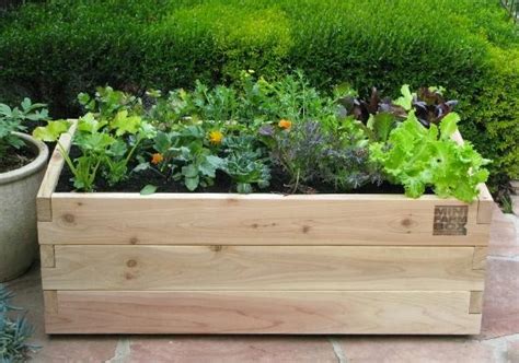 Cajones De Cultivo Guia De Jardin