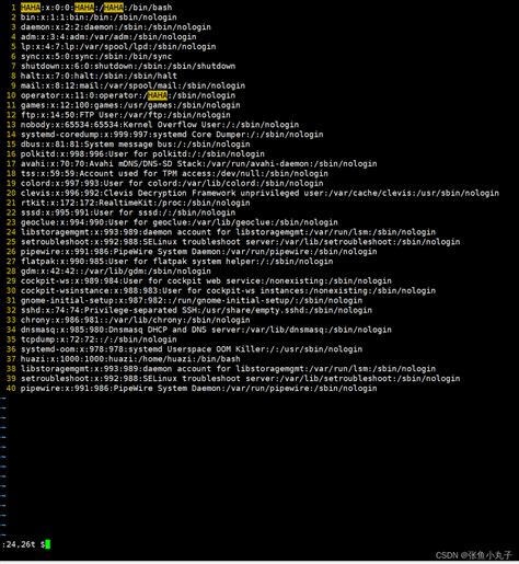 vim编辑器简单使用 csdn博客
