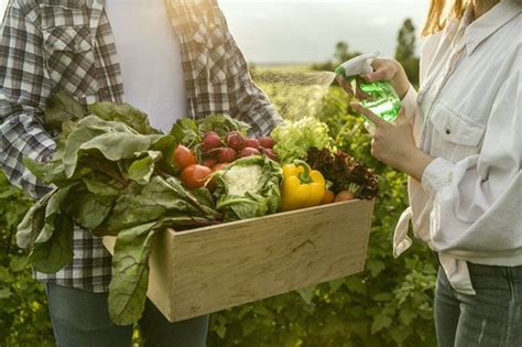 Lo Que Debes Saber Sobre El Cultivo De Hortalizas Renovando Jardin