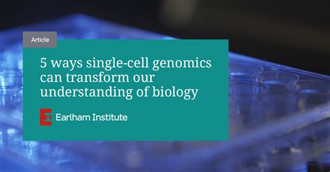 5 Ways Single Cell Genomics Can Transform Our Understanding Of Biology