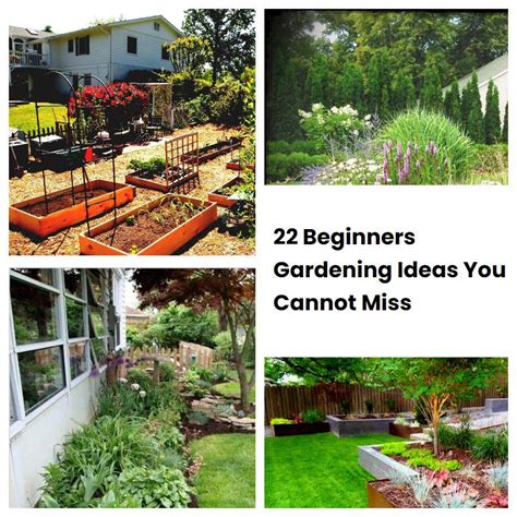 Beginners Gardening Ideas You Cannot Miss Sharonsable